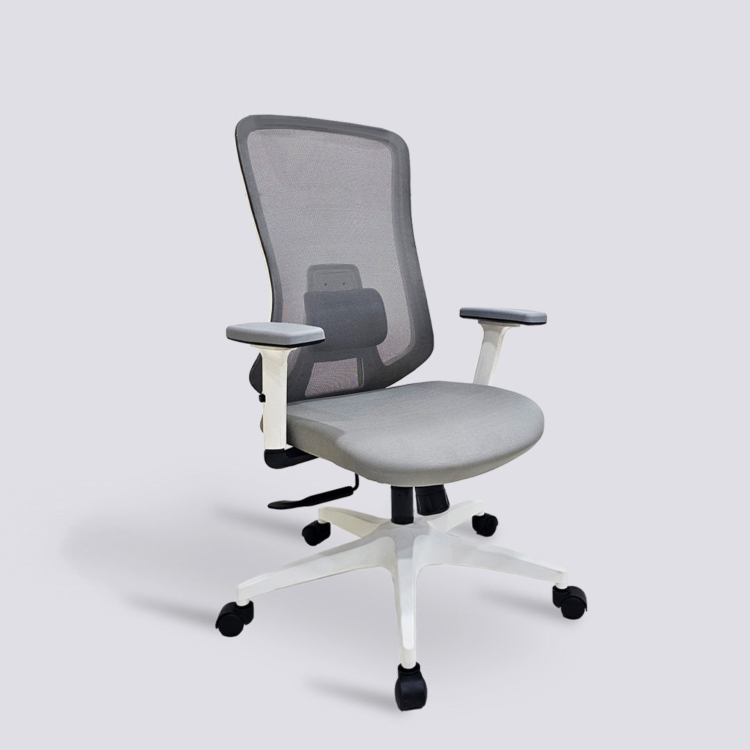 Buy Mid Back Executive Net Revolving Chair 1502 In Metal Frame | Omacme ...